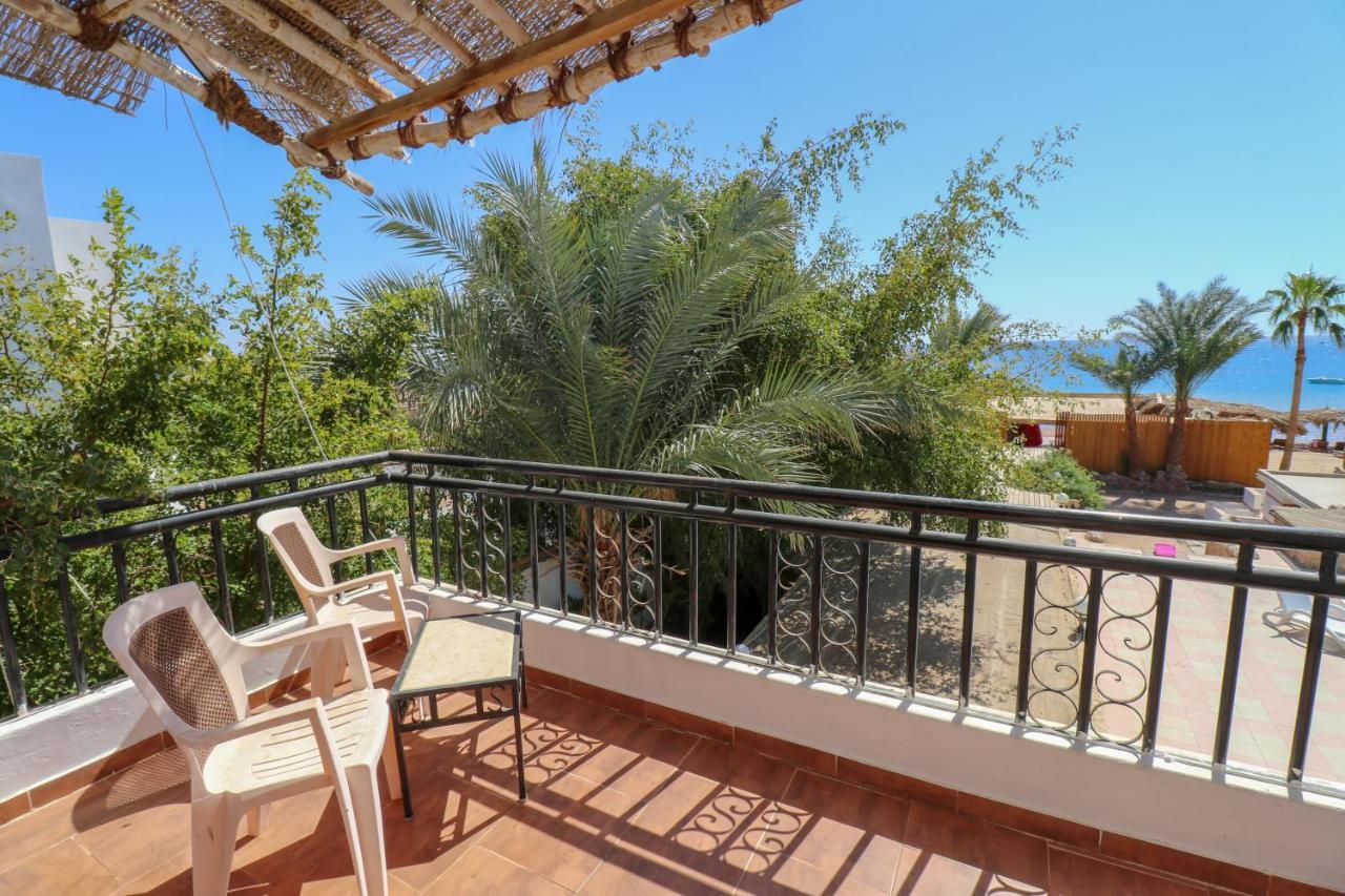 PANDA RESORT DAHAB | BOOK ONLINE & SAVE ON YOUR STAY